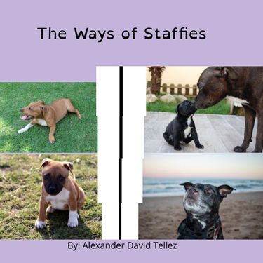 Book Creator | The Ways of Staffies