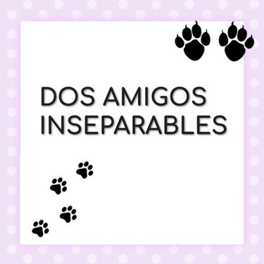 Book Creator | Amigos inseparables