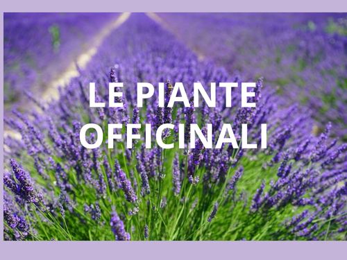 Book Creator | LE PIANTE OFFICINALI