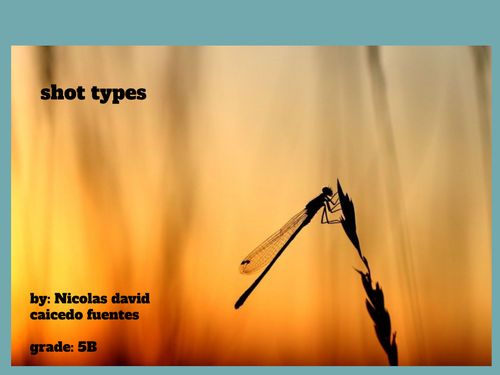 Book Creator | shot types