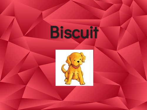Book Creator | Biscuit Comprehension Questions