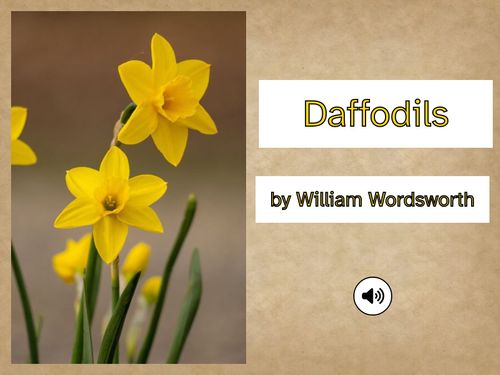 Book Creator | Daffodils_originale