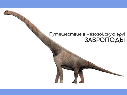 Book Creator | Завроподы