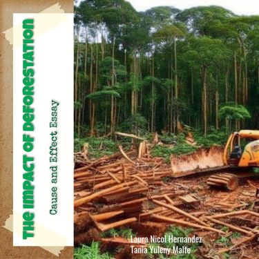 Book Creator | The Impact of Deforestation