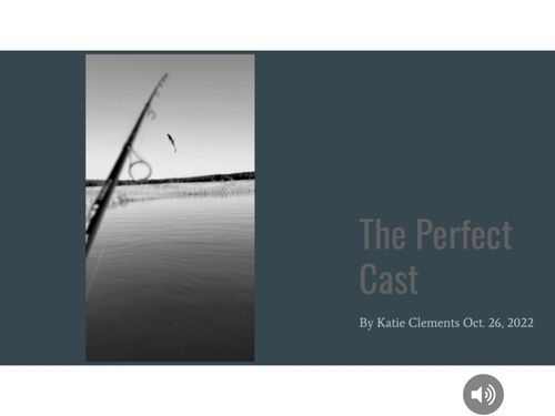 Book Creator | The Perfect Cast FINAL FINAL