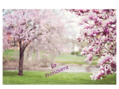 Book Creator | La Primavera