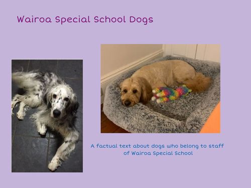 Book Creator | Wairoa Special School Dogs