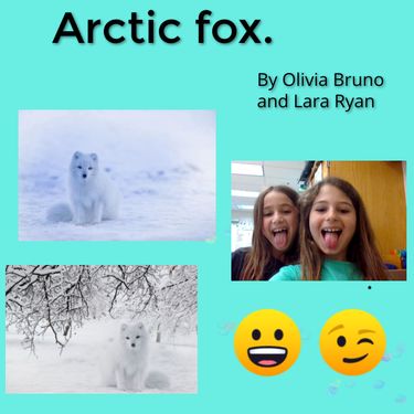 Book Creator | Arctic Fox