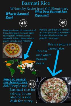 Book Creator | Basmati Rice