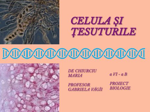 Book Creator | Celula și Țesuturile