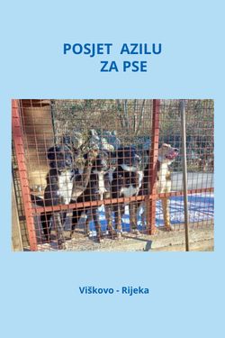 Book Creator | Posjet azilu za pse