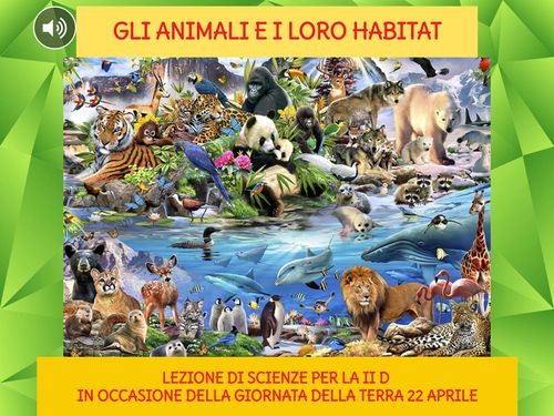 Book Creator | GLI ANIMALI E I LORO HABITAT
