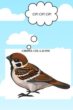 Book Creator | Ciripel cel lacom