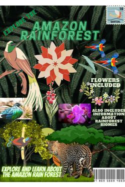 Book Creator | Amazon rainforest