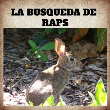 Book Creator | La búsqueda de Raps