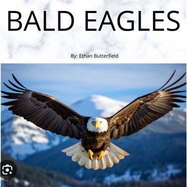 Book Creator | BALD EAGLES