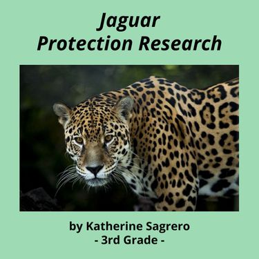 Book Creator | Jaguar Protection Research