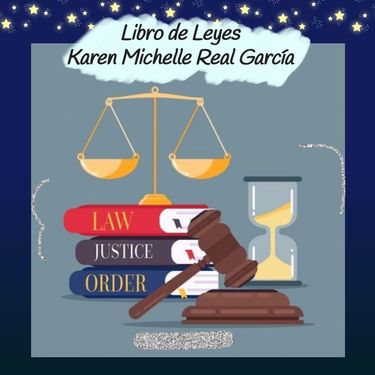 Book Creator | Libro de Leyes