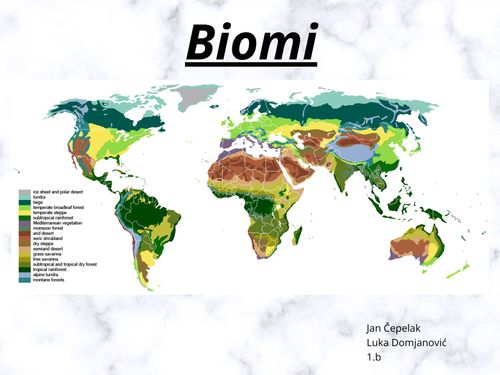 Book Creator | Biomi