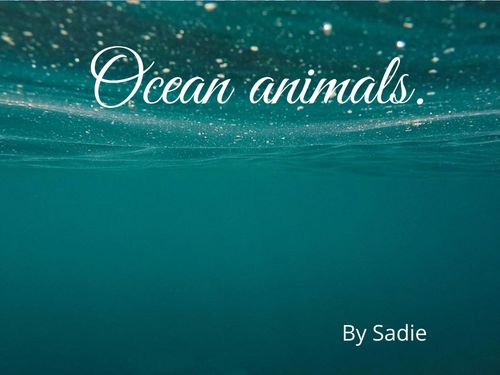 Book Creator | Ocean Animals