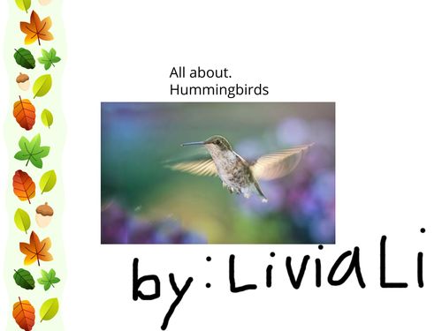 Book Creator | All About Hummingbirds