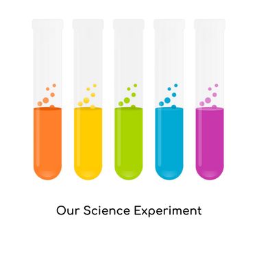 Book Creator | Science Experiment