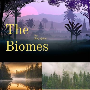 Book Creator | Biomes
