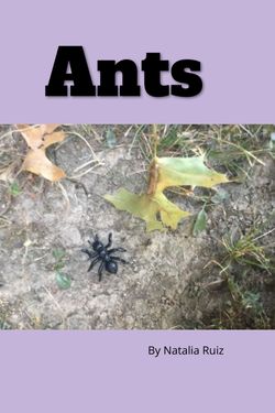 Book Creator | Ants