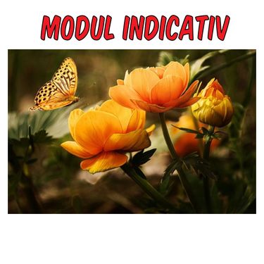 Book Creator | Modul indicativ