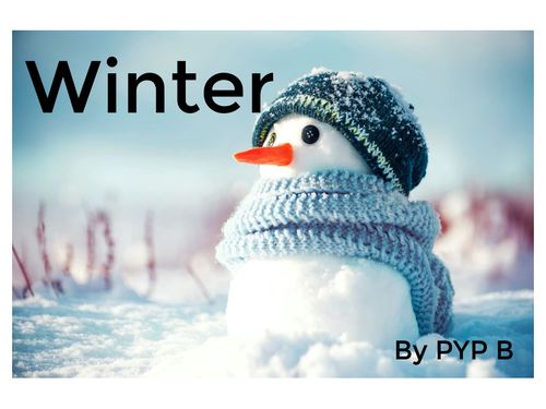 Book Creator | Winter