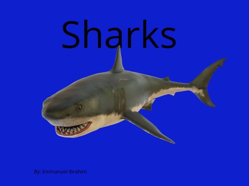 Book Creator | Sharks