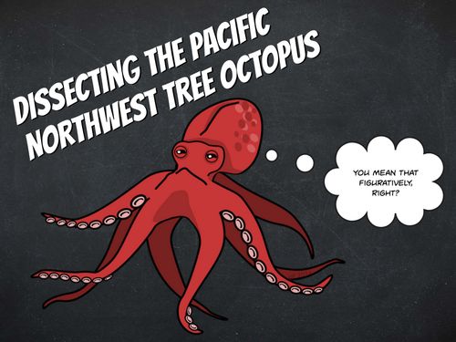 Book Creator | Dissecting the Pacific Northwest Tree Octopus