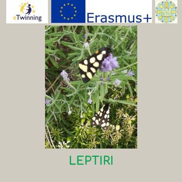 Book Creator | Leptiri