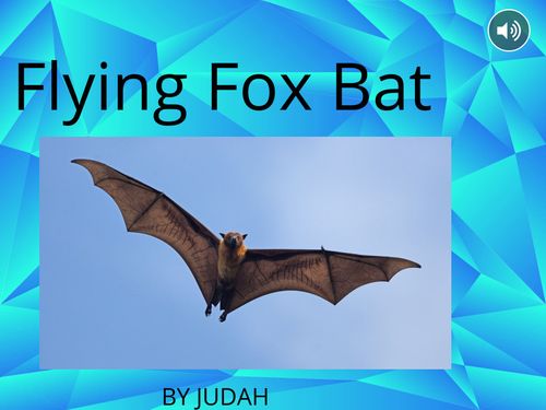 Book Creator | Flying Fox Bats